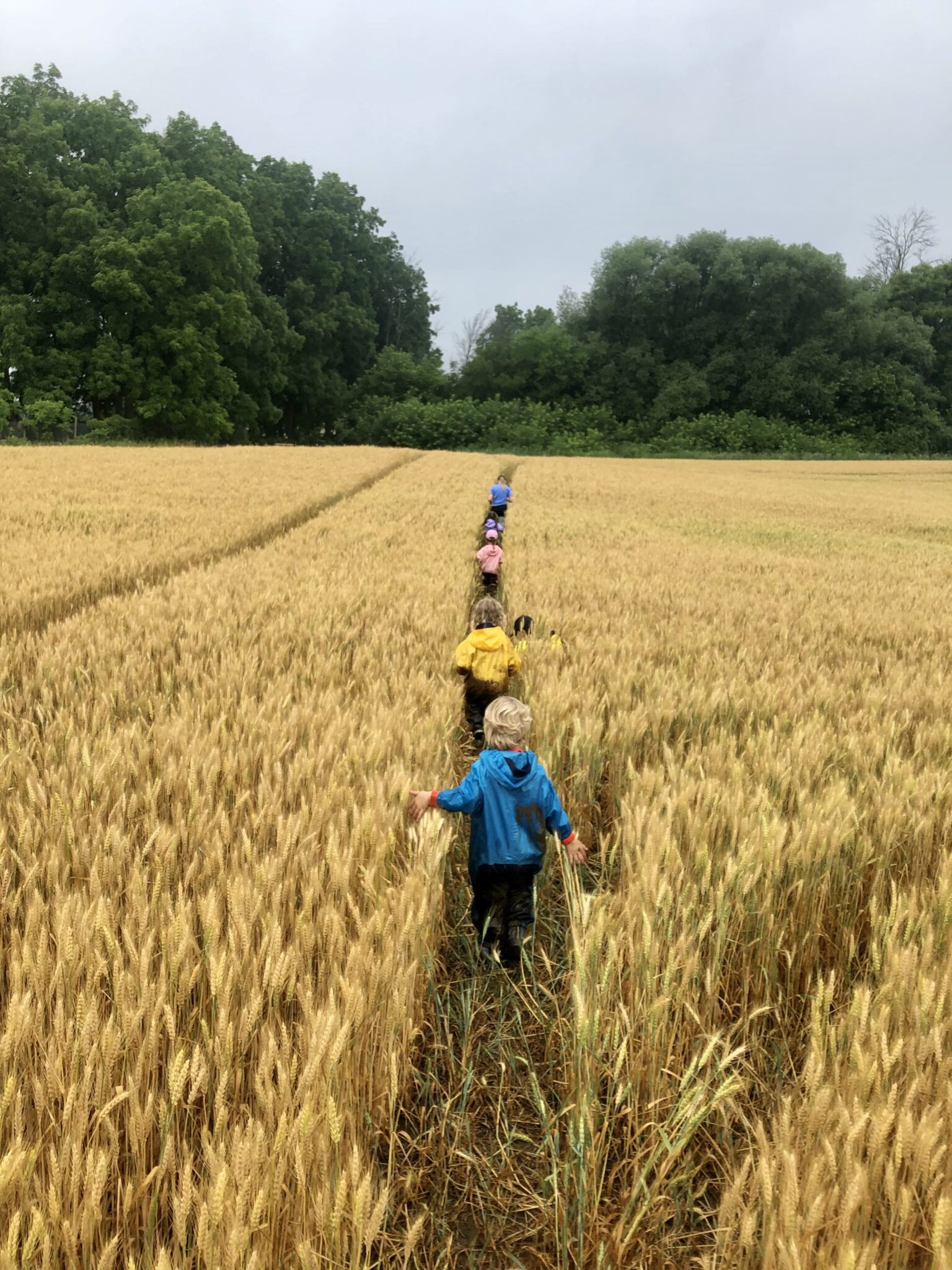 Outdoor Programs That Encourage Children to Explore and Grow ...